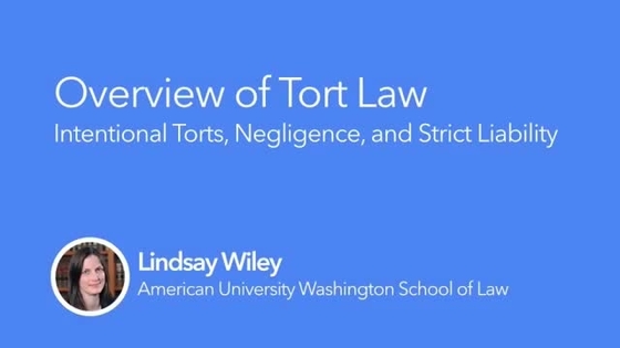 Episode 1.2: An Overview of Tort Law – Intentional Torts, Negligence ...