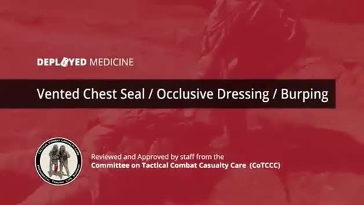 MS201 L11 Apply an Occlusive Dressing AY19-20