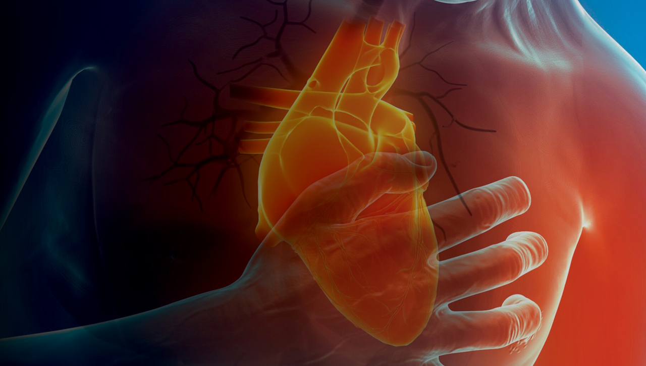 Welcome to Houston Methodist Video Portal