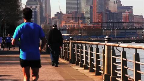 Aromar Revi - SDG Academy Library