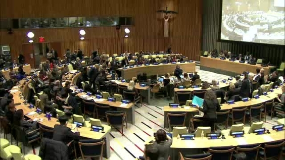 4th meeting, Post-2015 Intergovernmental Negotiations (Declaration ...