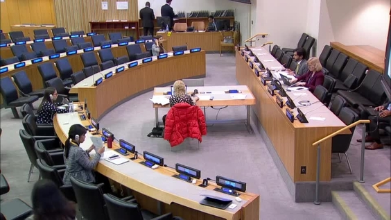 Second Committee, 11th meeting - General Assembly, 74th session | UN Web TV