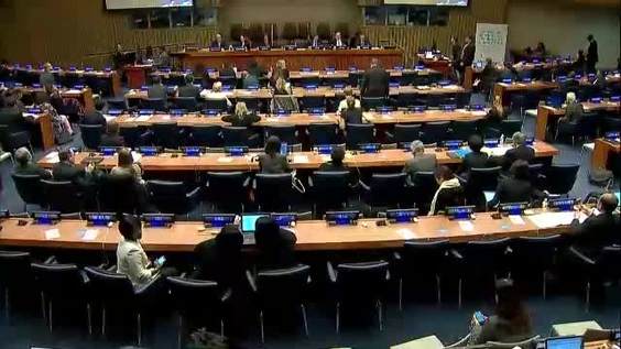 (4th Meeting) Economic and Social Council: Multi-stakeholder Forum on ...