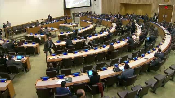 Fourth Committee, 6th meeting – 69th General Assembly | UN Web TV
