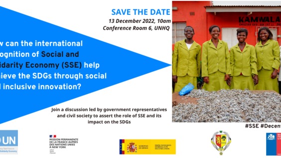 How can the International Recognition of the Social and Solidarity ...