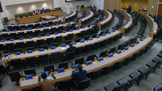 (4th meeting) High-level Committee on South-South Cooperation, 22nd ...