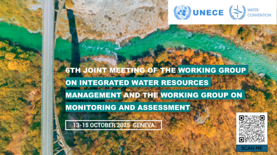 1st Session, 6th Joint meeting of WG on Integrated Water Resources ...