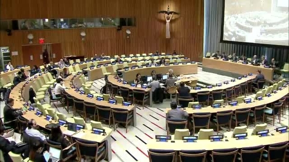 Sixth Committee, 9th meeting - 69th General Assembly | UN Web TV