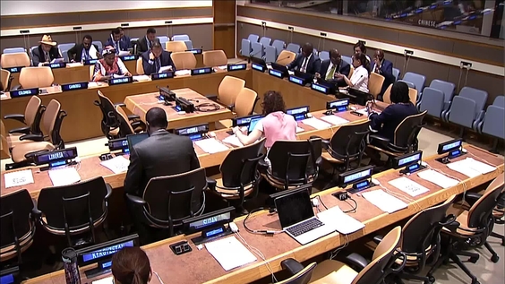 Climate Vulnerable Forum (CVF) High-Level Meeting | UN Web TV