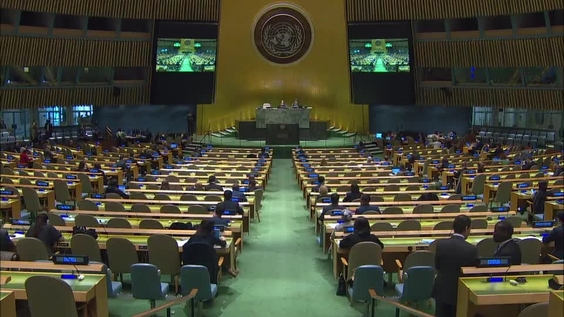 General Assembly: 69th plenary meeting | UN Web TV