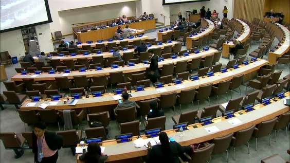 Third Committee, 15th meeting - General Assembly, 72nd session | UN Web TV