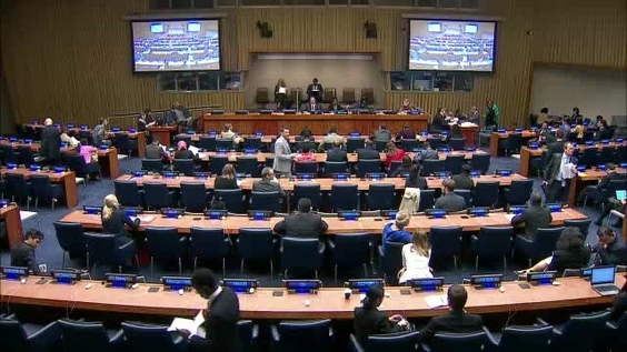 Fourth Committee, 1st meeting - 70th General Assembly | UN Web TV
