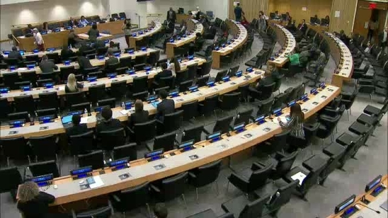Second Committee, 10th meeting - 70th General Assembly | UN Web TV