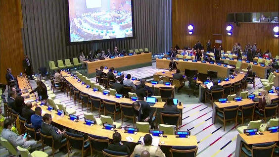 High-Level Plenary Meeting to commemorate and promote the International Day for the Total ...