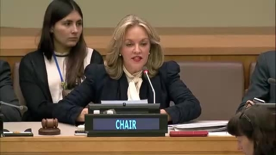 Third Committee, 40th meeting - 71th General Assembly | UN Web TV