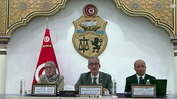 Committee on the Elimination of Racial Discrimination | UN Web TV