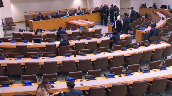 (24th plenary meeting) Committee on Non-Governmental Organizations ...