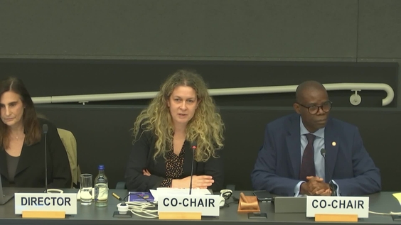 1st Meeting, 31st Session of the Committee of Experts on International ...