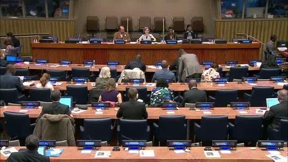 (3rd meeting) Commission on Population and Development, Forty-eighth ...