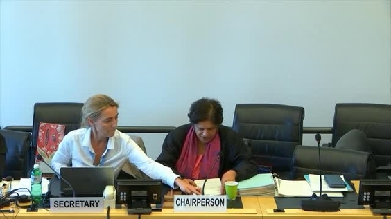 Meeting with Partners - 12th Meeting 61st Session of Committee on ...