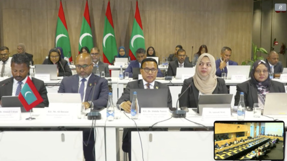 3169th Meeting, 116th Session, Committee on the Elimination of Racial ...