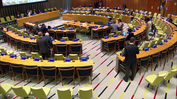 Informal meeting of the plenary to hear a briefing by the Independent Institution on Missing ...