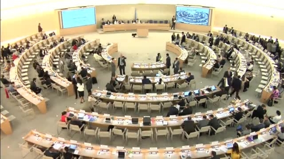 Clustered ID: SR on Safe Drinking Water and WG on Arbitrary Detention - 2nd Meeting, 33rd ...