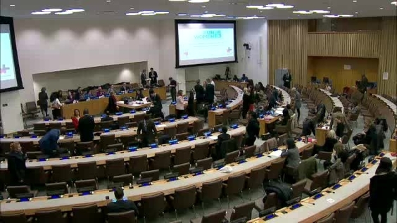 1st meeting, UN Women Executive Board (First Regular Session 2015) | UN ...