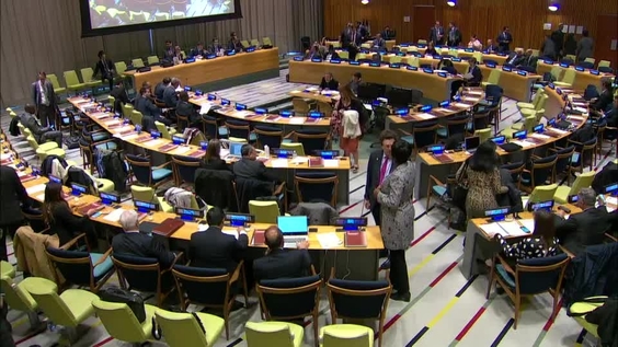 Preparatory Committee for the 2020 Review Conference of the Parties to ...