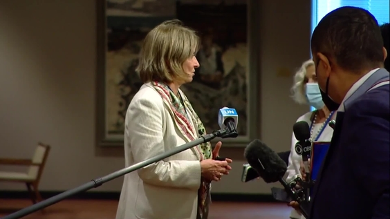 Mona Juul (Norway) on Ethiopia - Security Council Media Stakeout | UN ...