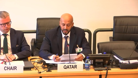 3063rd Meeting, 112th Session, Committee on the Elimination of Racial ...