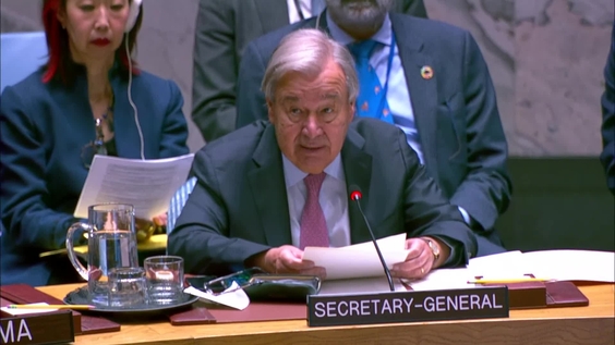 Security Council | UN Web TV
