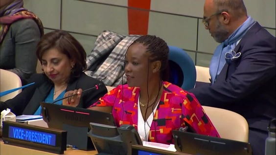 (2nd plenary meeting) UN-Women Executive Board, First Regular Session ...