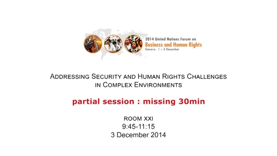 Addressing Security and Human Rights Challenges - Forum on Business and ...