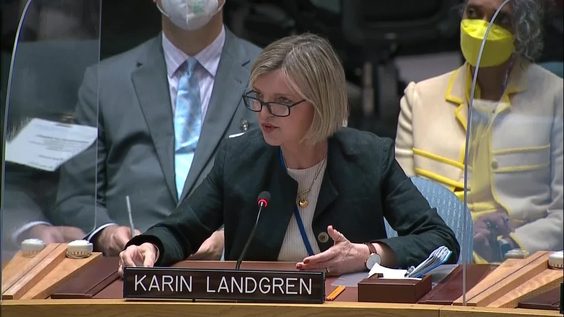Karin Landgren (Security Council Report) on the working methods of the ...