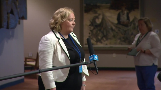 Cait Moran (Ireland) on the situation in Ukraine - Security Council ...