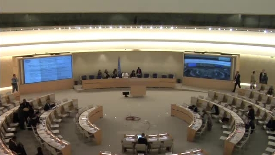 ID (Cont'd): IE on Central African Republic - 55th Meeting, 31st ...