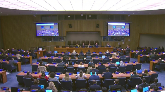 Fourth Committee, 11th plenary meeting - General Assembly, 80th session ...