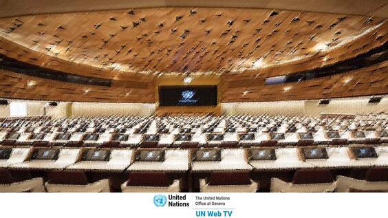 1st Meeting, 2024 Amended Protocol II Group of Experts (CCW) | UN Web TV