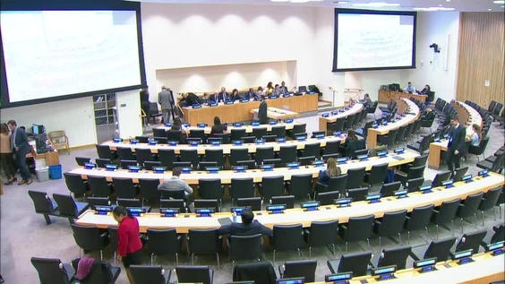 Second Committee, 19th meeting - General Assembly, 74th session | UN Web TV