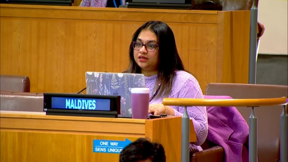 Third Committee, 29th plenary meeting - General Assembly, 80th session ...