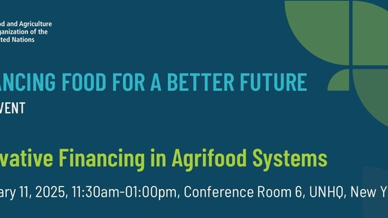 Innovative Financing in Agrifood Systems - FfD4 3rd PrepCom Side Event ...