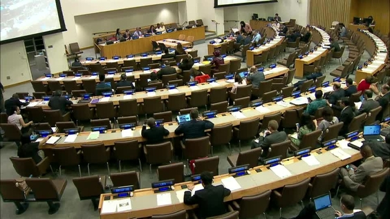 (19th meeting) UN conference to negotiate a legally binding instrument ...