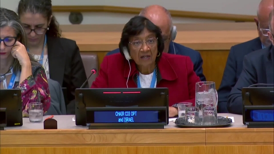 Third Committee, 36th plenary meeting - General Assembly, 79th session ...