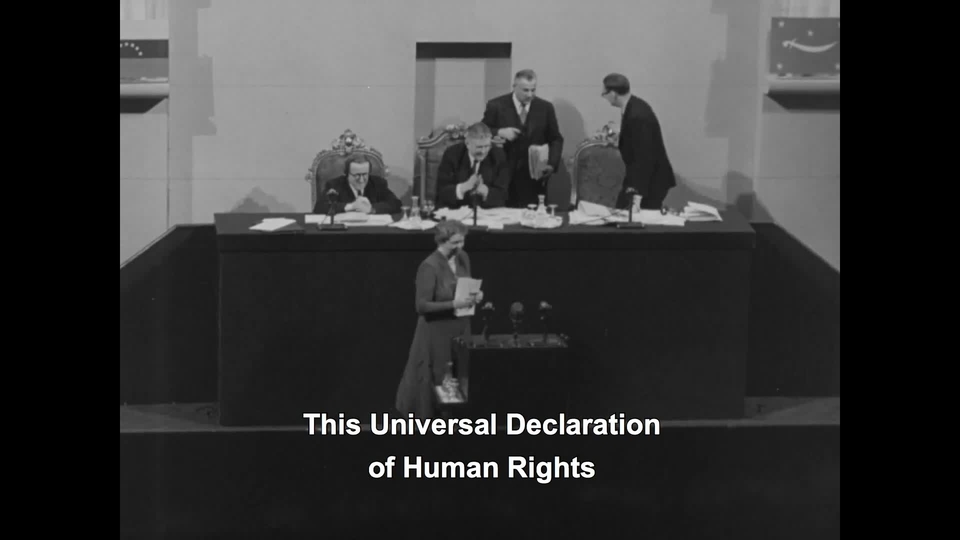 Beacon of Hope - Eleanor Roosevelt and the Universal Declaration of ...