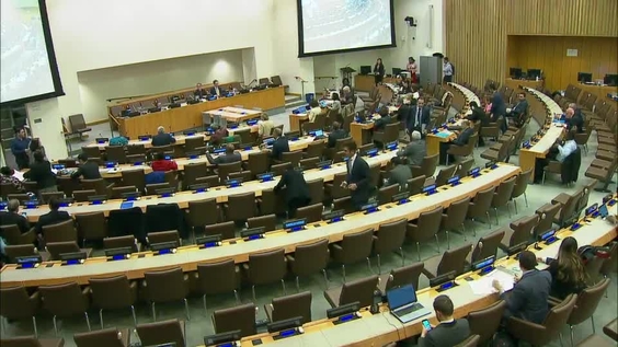 17th session of the Committee of Experts on Public Administration (23 ...