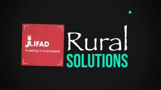 RURAL SOLUTIONS - CREERs in Burkina Faso | UN Web TV