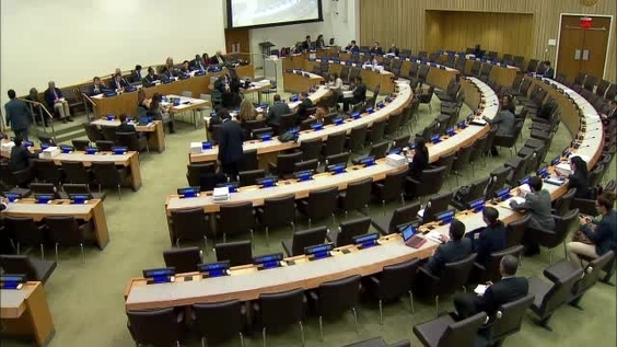 Fifth Committee, 5th meeting - 70th General Assembly | UN Web TV
