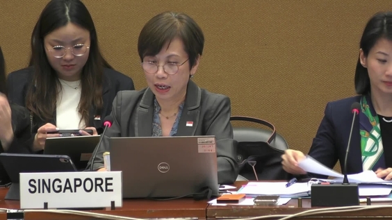 2066th Meeting, 88th Session, Committee on the Elimination of ...