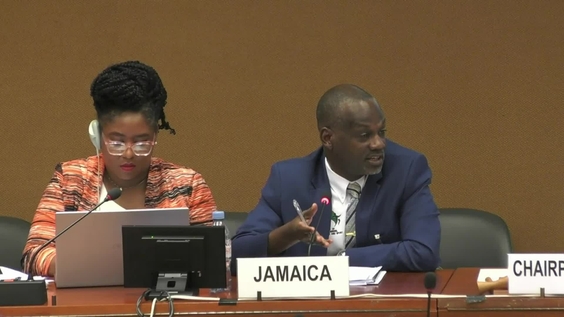 2006th Meeting, 86th Session, Committee on the Elimination of ...